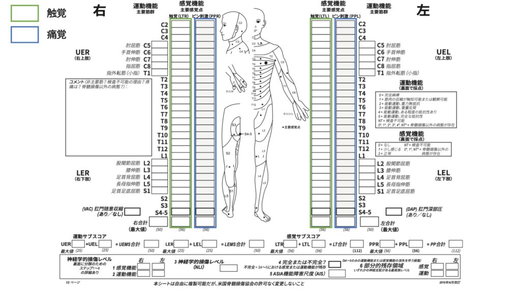 エイシア 評価用紙 – 脊髄損傷 評価基準 _ ASIA分類 – EZLM